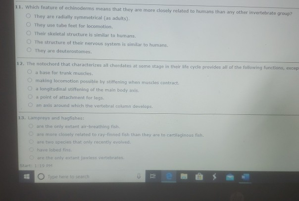 Solved 11. Which feature of echinoderms means that they are | Chegg.com