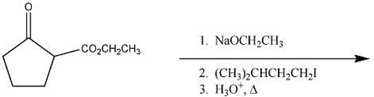 Solved Provide the major organic product in the reaction | Chegg.com