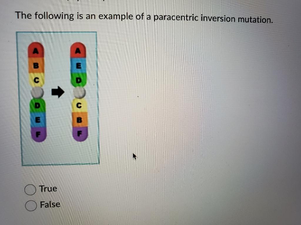 Solved The following is an example of a paracentric | Chegg.com