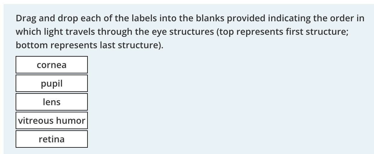 Solved Drag and drop each of the labels into the blanks | Chegg.com