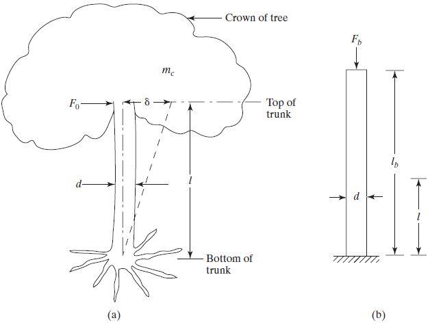 Solved 2.65 The trunk of the tree shown in Fig. 2.91 can be | Chegg.com