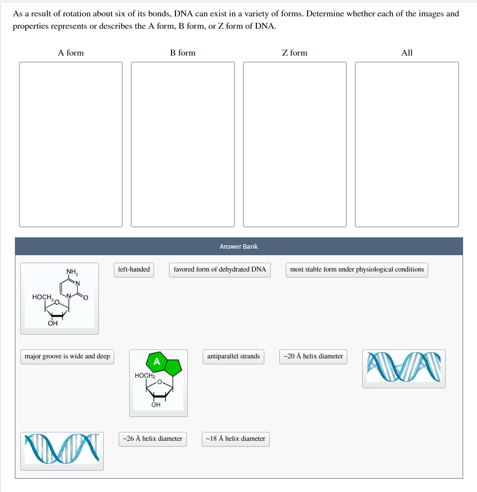Solved As a result of rotation about six of its bonds, DNA | Chegg.com
