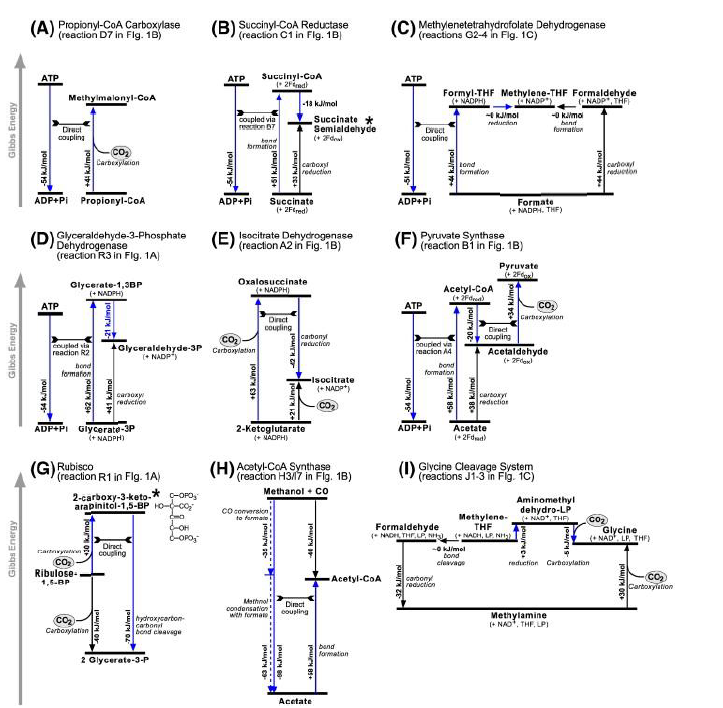Map the standard delta G values from the following | Chegg.com