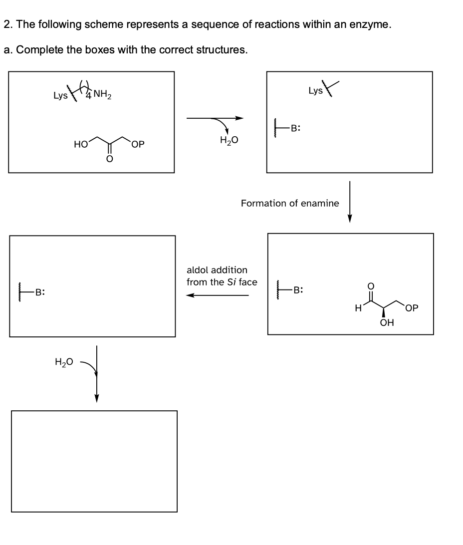 The following scheme represents a sequence of | Chegg.com