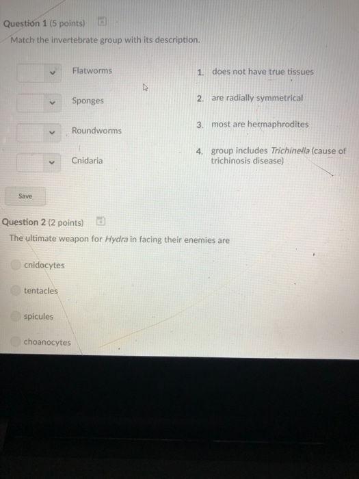 Solved Question 1 (5 points) Match the invertebrate group | Chegg.com