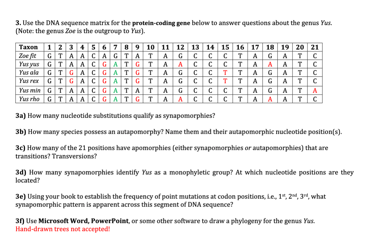 Solved 3. Use the DNA sequence matrix for the protein-coding | Chegg.com