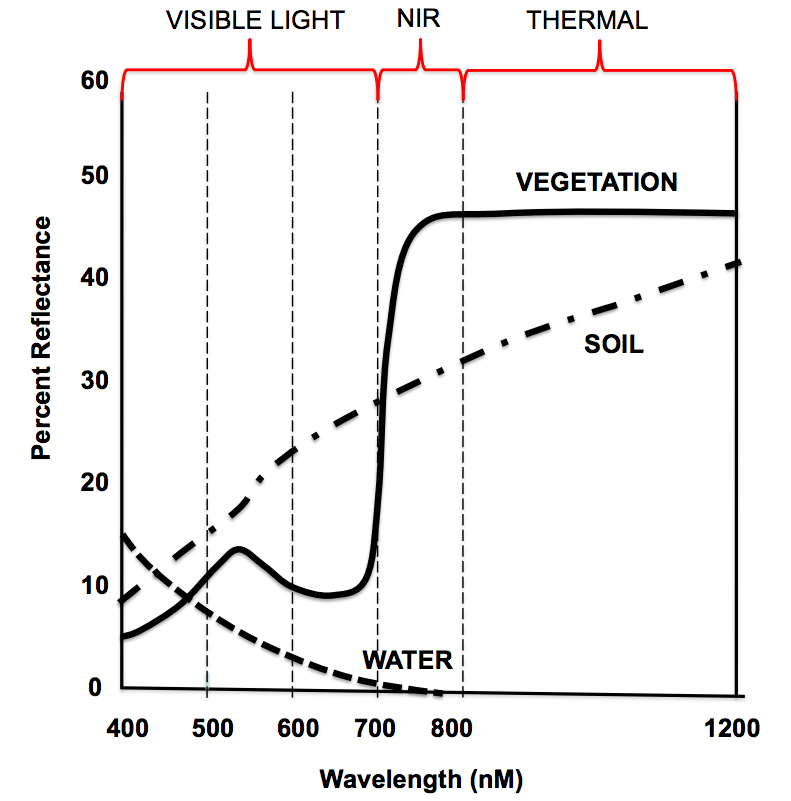Solved Please refer to the spectral albedo curves shown | Chegg.com