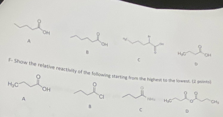 Solved A B E. Show the relative reactivity of the following | Chegg.com