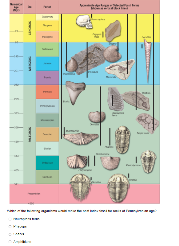 Solved Numerical Age (Myr) Era Period Approximate Age Ranges | Chegg.com