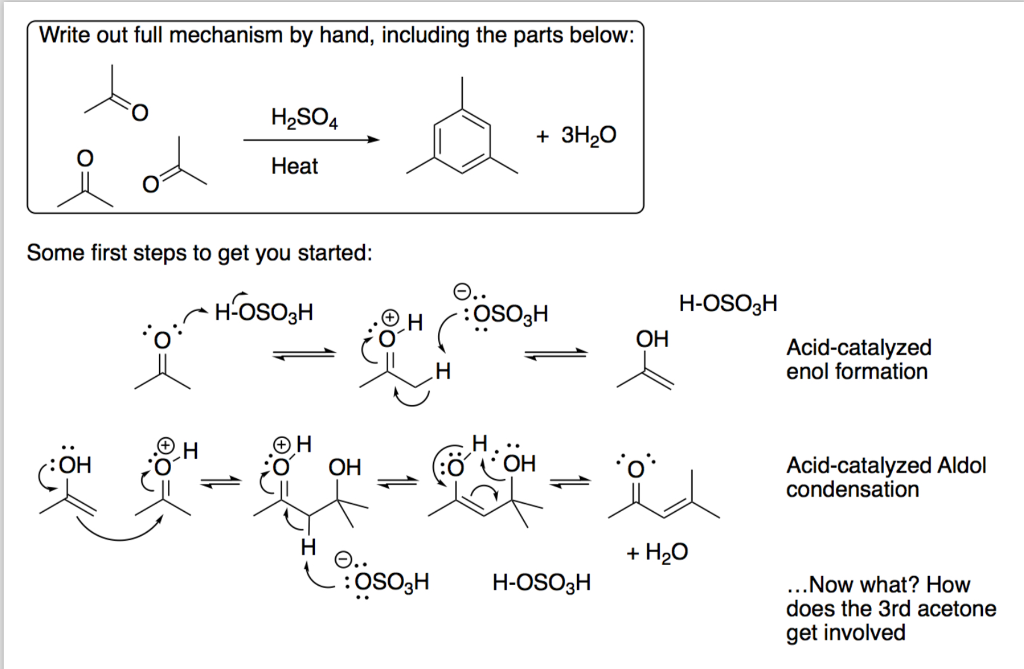 Solved Write out, in full detail (protonation, | Chegg.com