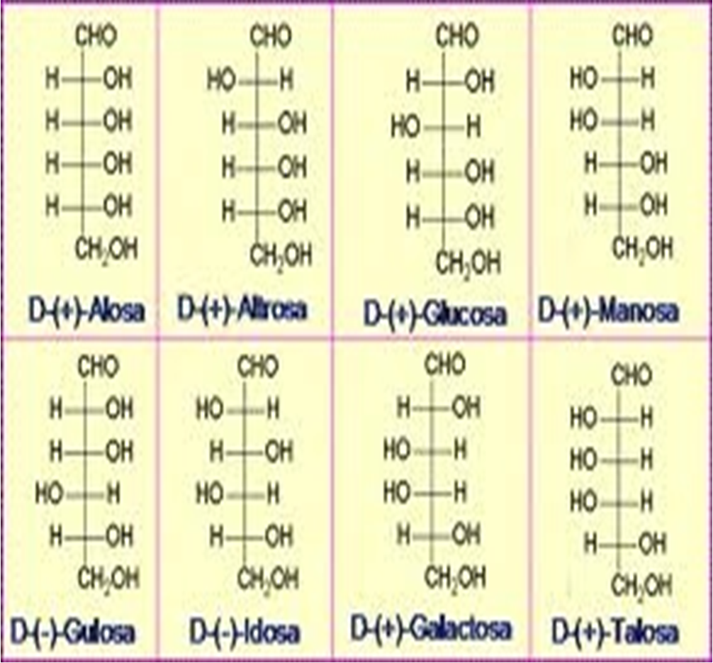 Solved Find and identify the Mirror images, diastereomers | Chegg.com