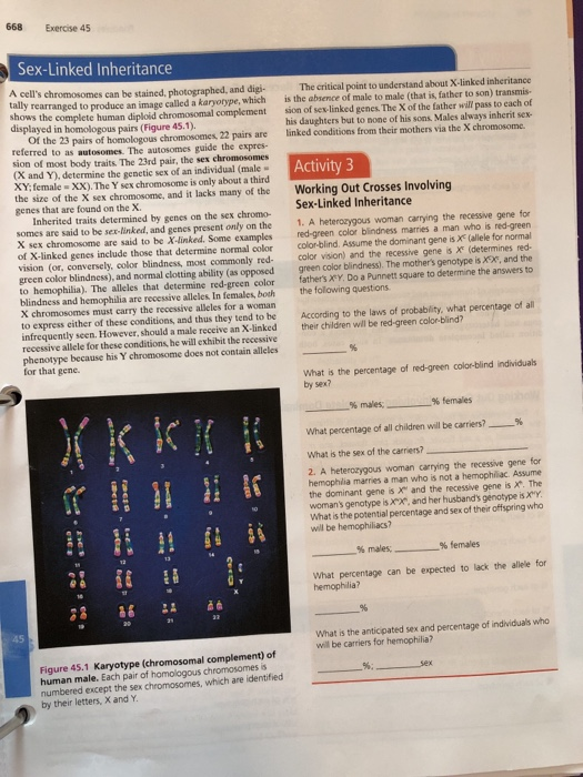 Solved 668 Exercise 45 Sex Linked Inheritance Cels 