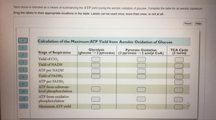 Solved Table below is intended as a means of summarizing the | Chegg.com