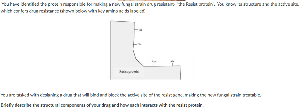 Solved You have identified the protein responsible for | Chegg.com