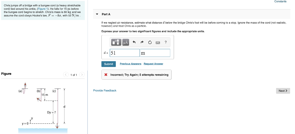 Solved Constants Chris jumps off a bridge with a bungee cord | Chegg.com