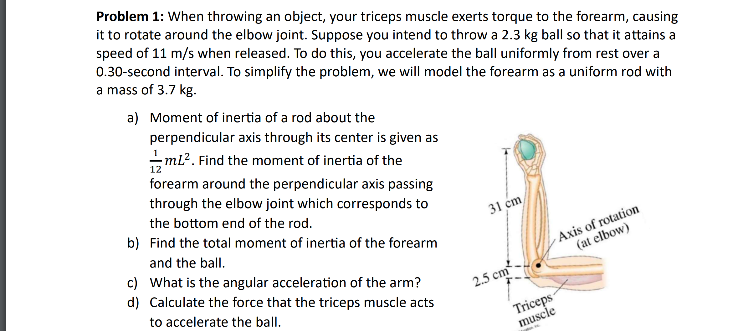 Solved Problem 1: When throwing an object, your triceps | Chegg.com