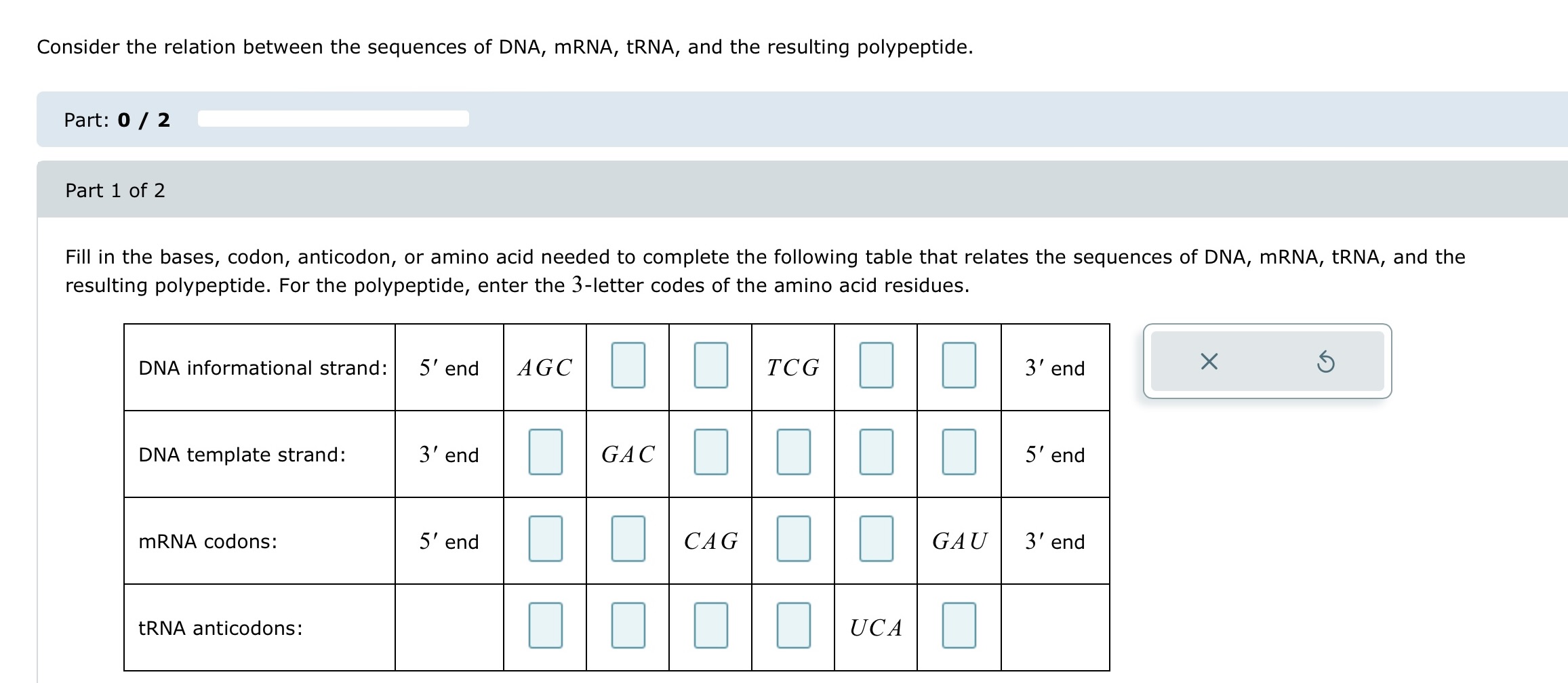 Solved Consider the relation between the sequences of DNA, | Chegg.com
