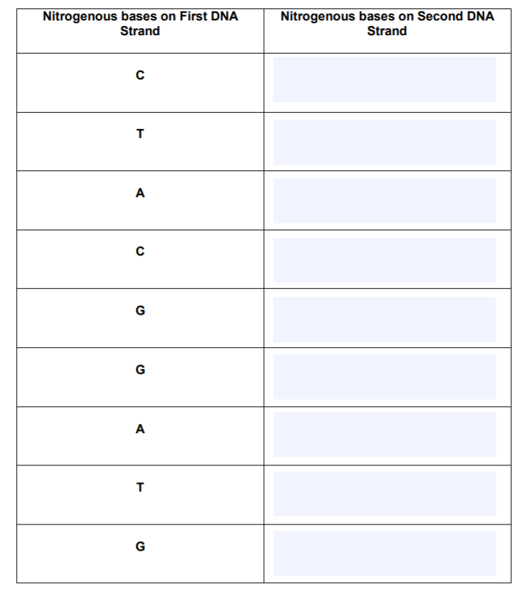Solved DNA STRUCTURE AND PROTEIN SYNTHESIS Questions 1. | Chegg.com