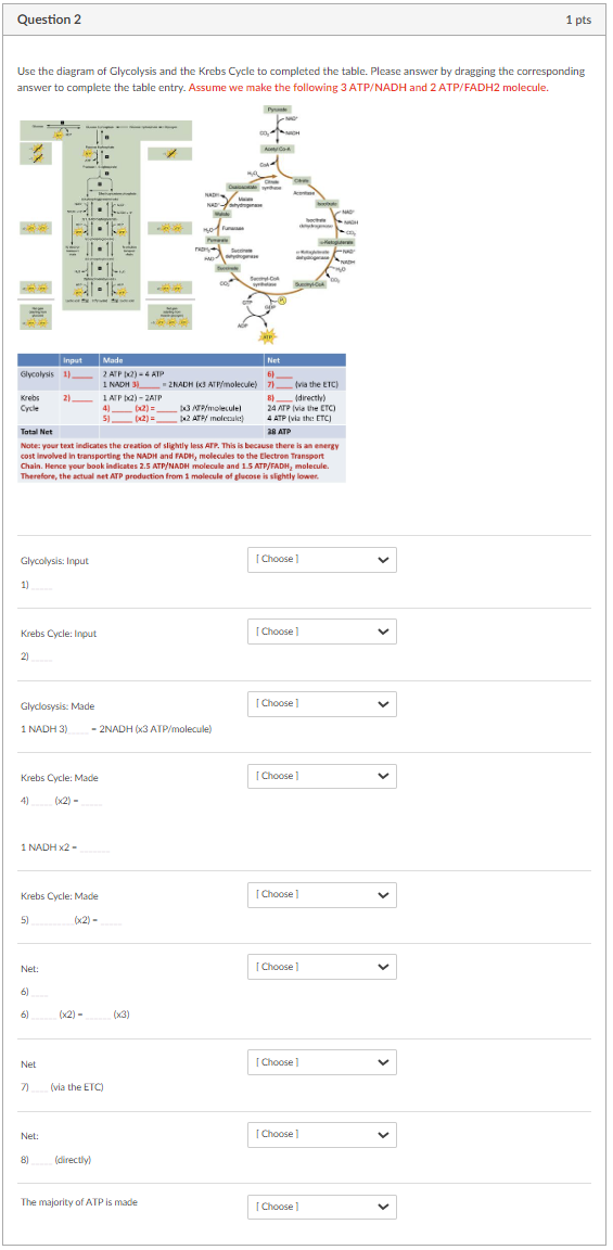 Solved Use the diagram of Glycolysis and the Krebs Cycle to | Chegg.com