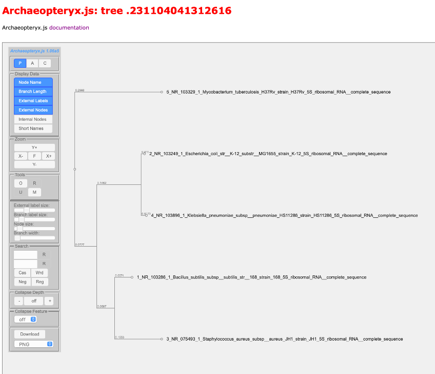 Solved Archaeopteryx.js: tree .231104041312616 | Chegg.com