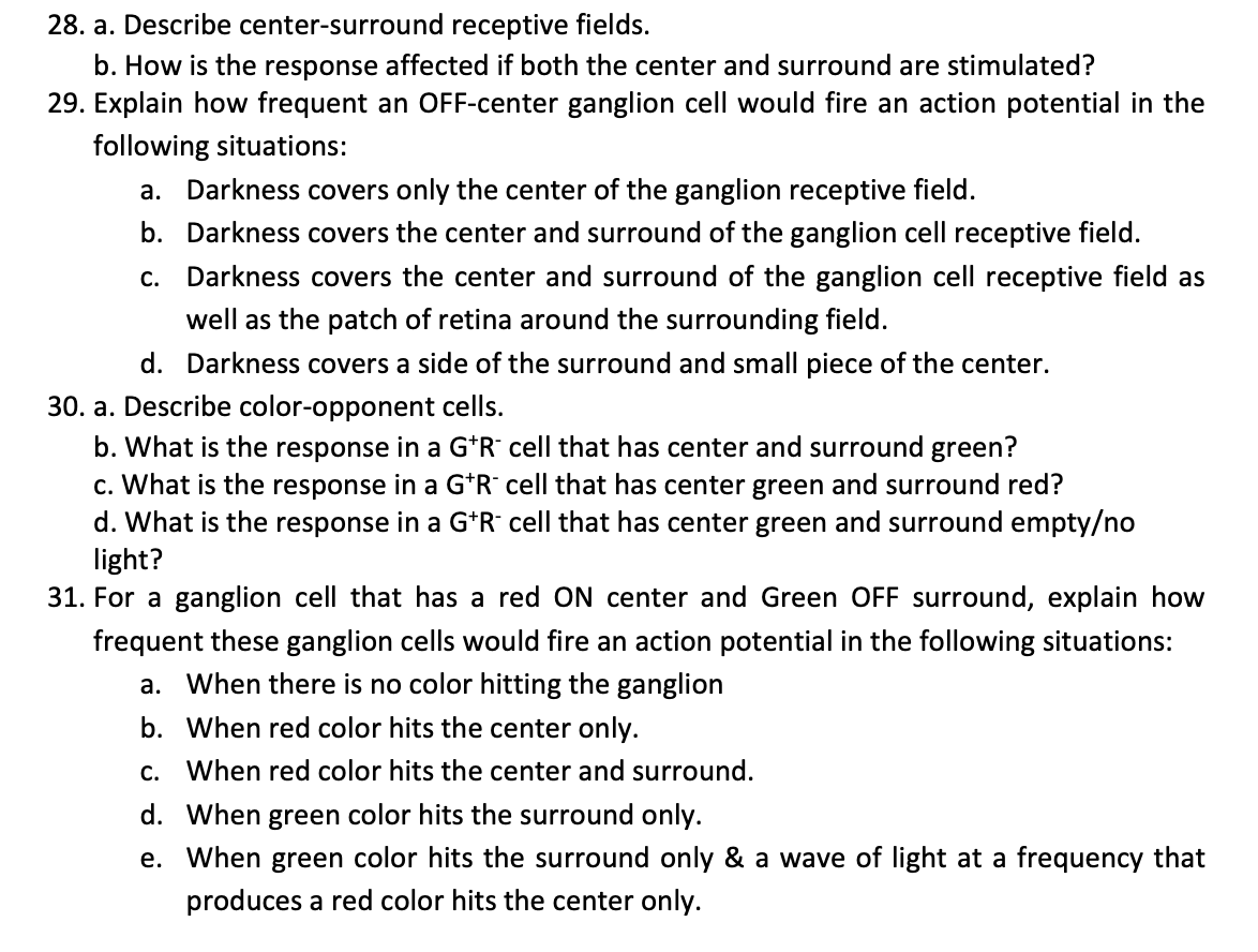 Solved C. 28. a. Describe center-surround receptive fields. | Chegg.com