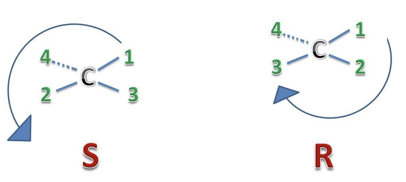 Solved Label each molecule's stereocenter as either R or S | Chegg.com