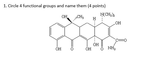 Solved 1. Circle 4 functional groups and name them ( 4 | Chegg.com