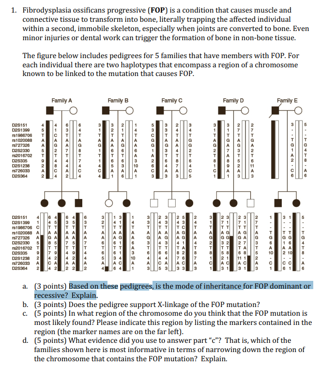 Solved 1. Fibrodysplasia ossificans progressive (FOP) is a | Chegg.com