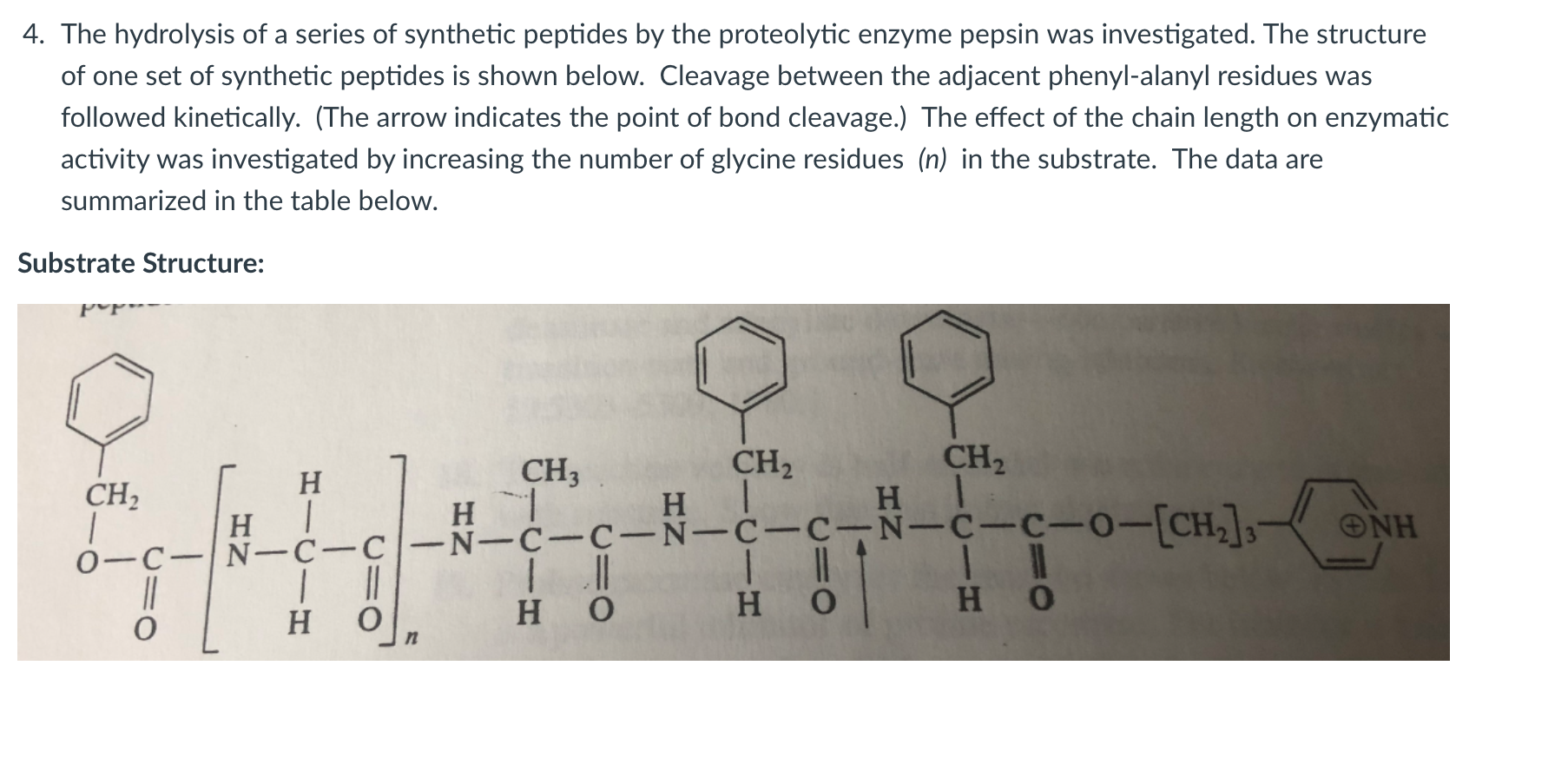 Solved 4. The hydrolysis of a series of synthetic peptides | Chegg.com