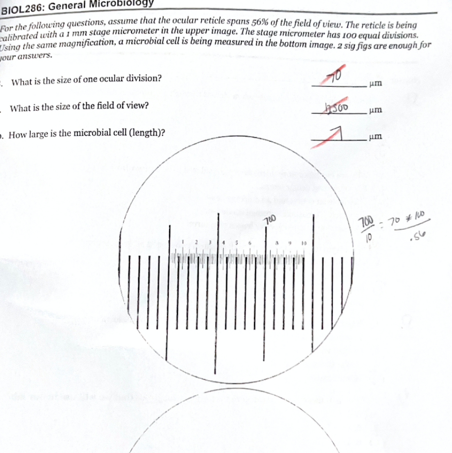 Solved Based on the two images, can you please type out an | Chegg.com
