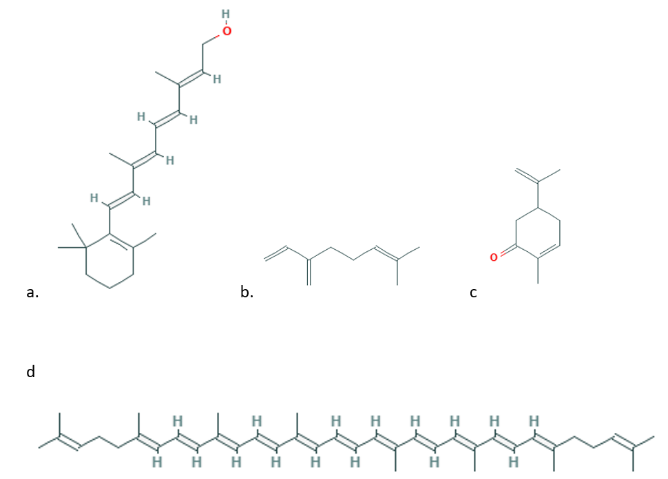 Solved Use the isoprene rule to break down each of the above | Chegg.com