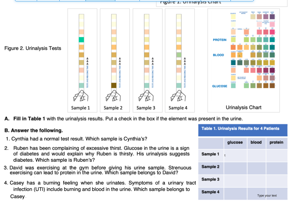 Solved Tigure 1. Umidiysts Chart PROTEIN Figure 2. | Chegg.com