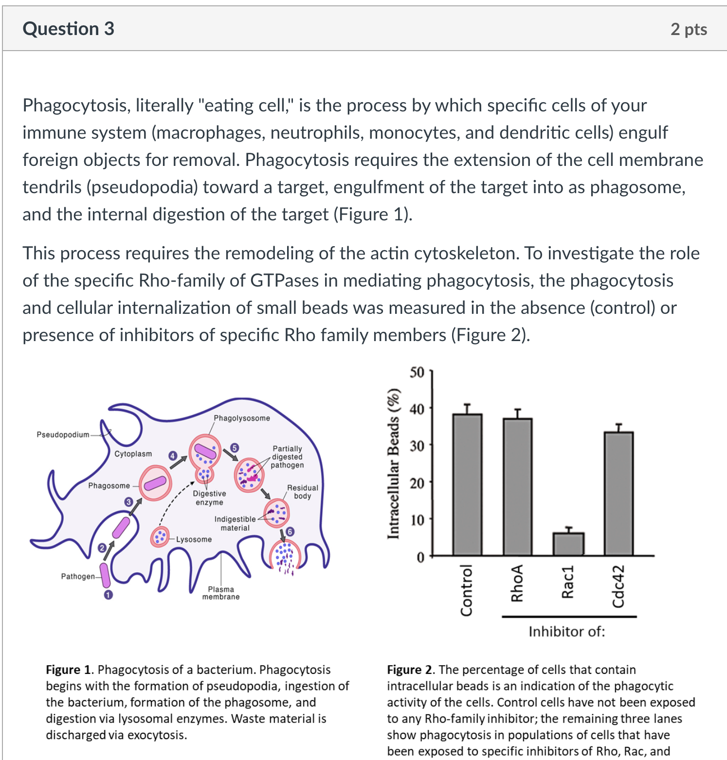 Solved Phagocytosis, literally "eating cell," is the process | Chegg.com