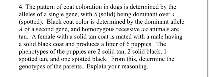 Solved 4. The pattern of coat coloration in dogs is | Chegg.com