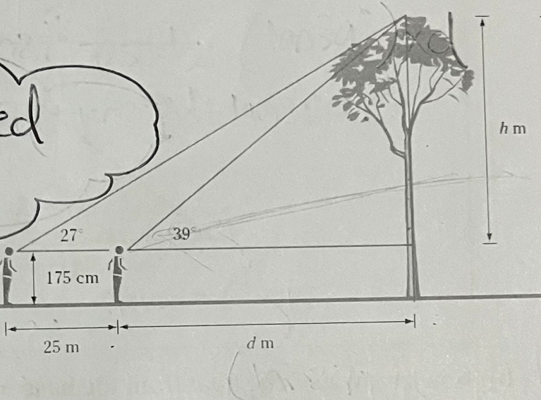 Solved A park ranger was trying to find the height of a very | Chegg.com