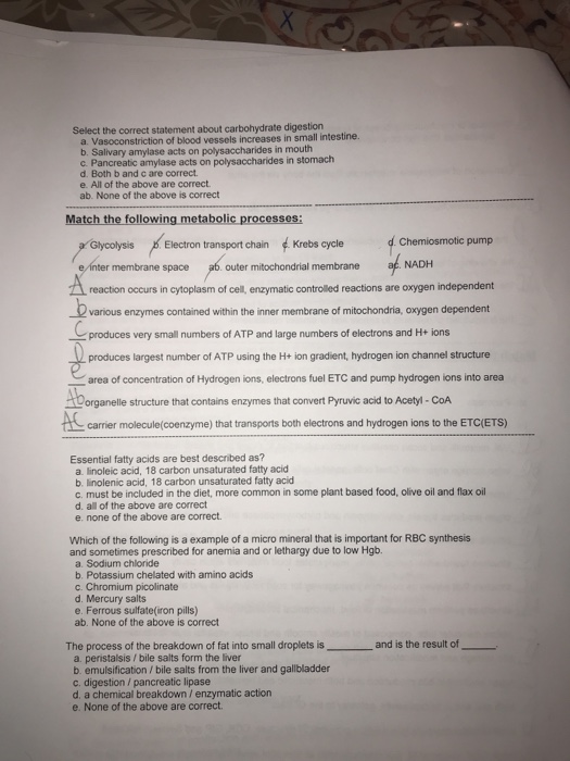 Solved Select the correct statement about carbohydrate | Chegg.com