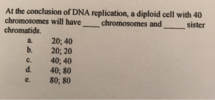 Solved At the conclusion of DNA replication, a diploid cell | Chegg.com