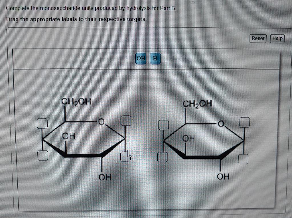 Solved Complete the monosaccharide units produced by | Chegg.com