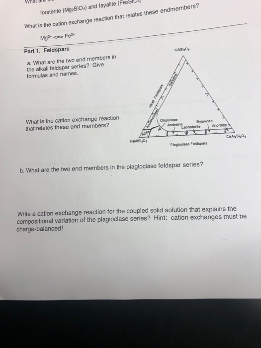 Solved What die forsterite (MgaSiO4) and fayalite (Fe25I0 | Chegg.com