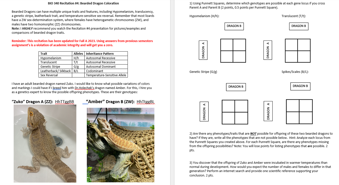 Solved BIO 340 Recitation \#4: Bearded Dragon Coloration | Chegg.com Solved BIO 340 Recitation \#4: Bearded Dragon Coloration | Chegg.com