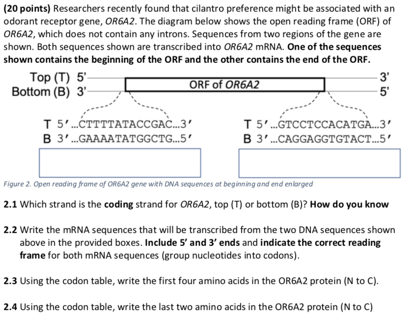 Solved (20 points) Researchers recently found that cilantro | Chegg.com