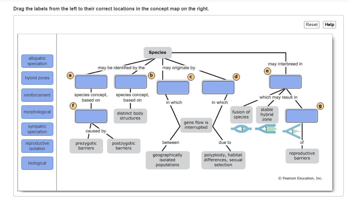 Solved Drag The Labels From The Left To Their Correct
