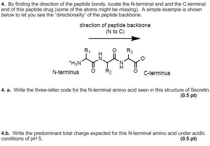 Solved 4. By finding the direction of the peptide bonds, | Chegg.com