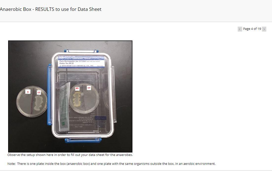 Solved Anaerobic Box - RESULTS to use for Data Sheet Page 4 | Chegg.com