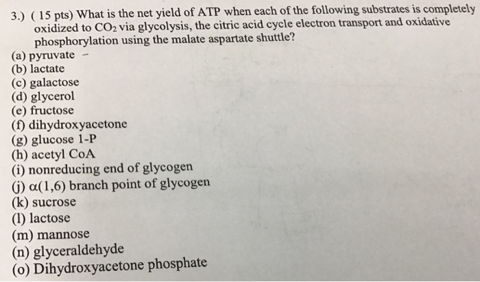 Solved 3 15 Pts What Is The Net Yield Of Atp When Each
