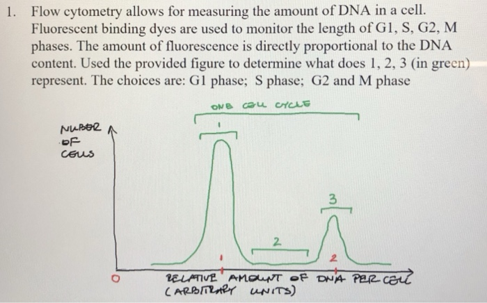 Solved Flow cytometry allows for measuring the amount of DNA | Chegg.com