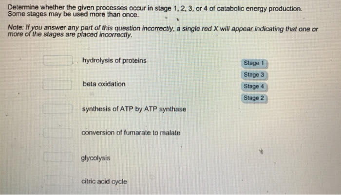 Solved Determine whether the given processes occur in stage | Chegg.com