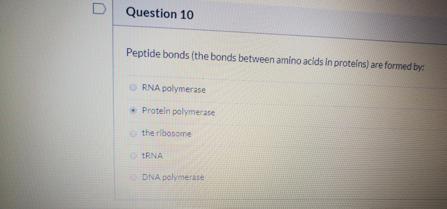Solved Question 1 What structural feature identifies the | Chegg.com