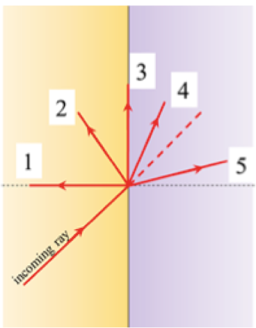 Solved The figure shows the vertical interface between two | Chegg.com