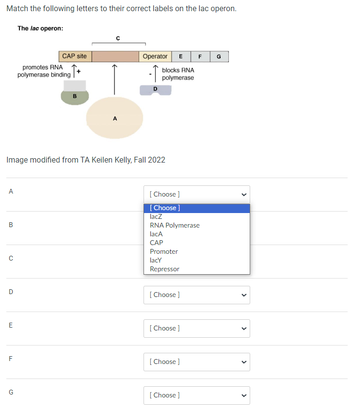 Solved Match the following letters to their correct labels | Chegg.com
